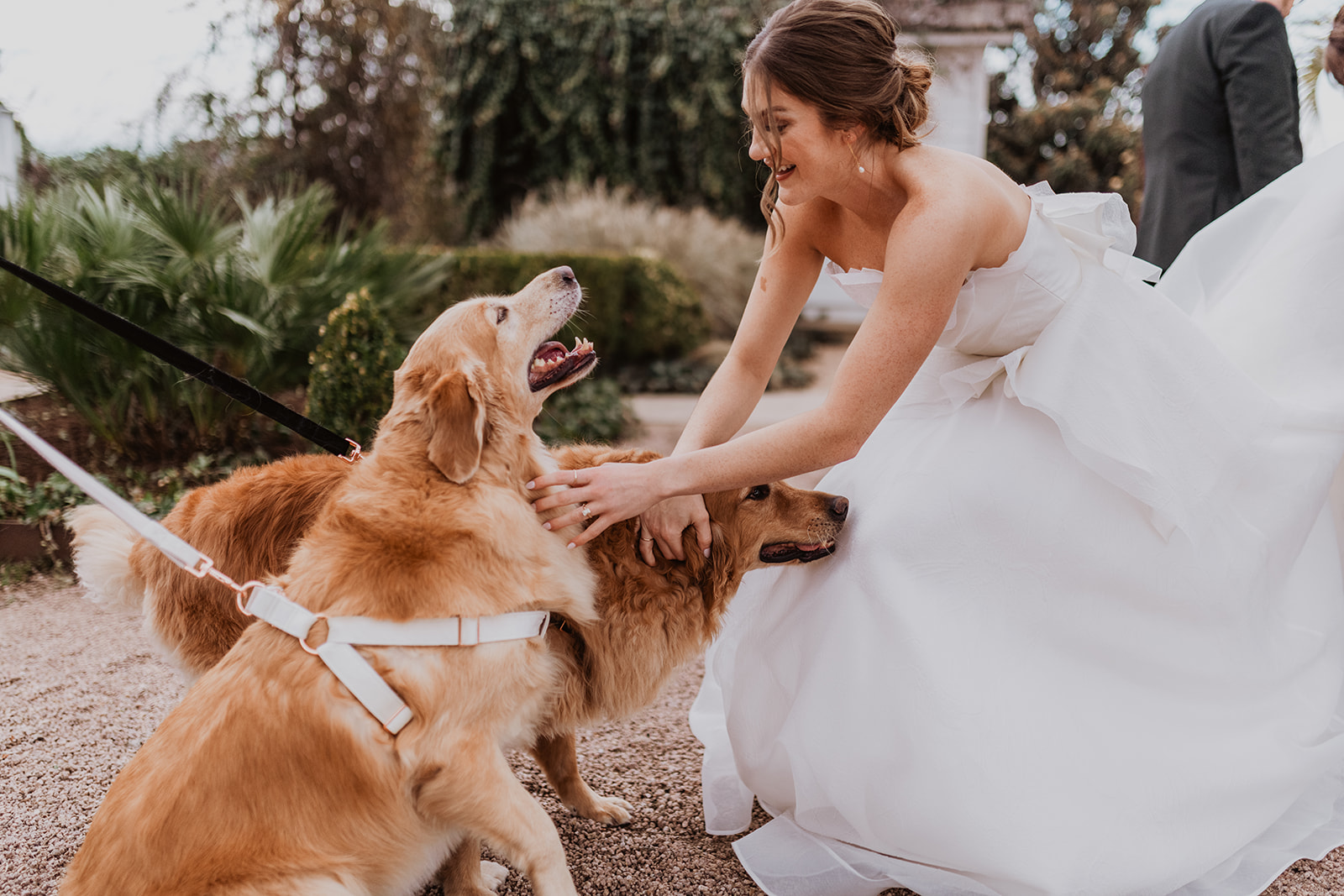 Barr Mansion: The Ultimate Guide to this Austin Wedding Venue